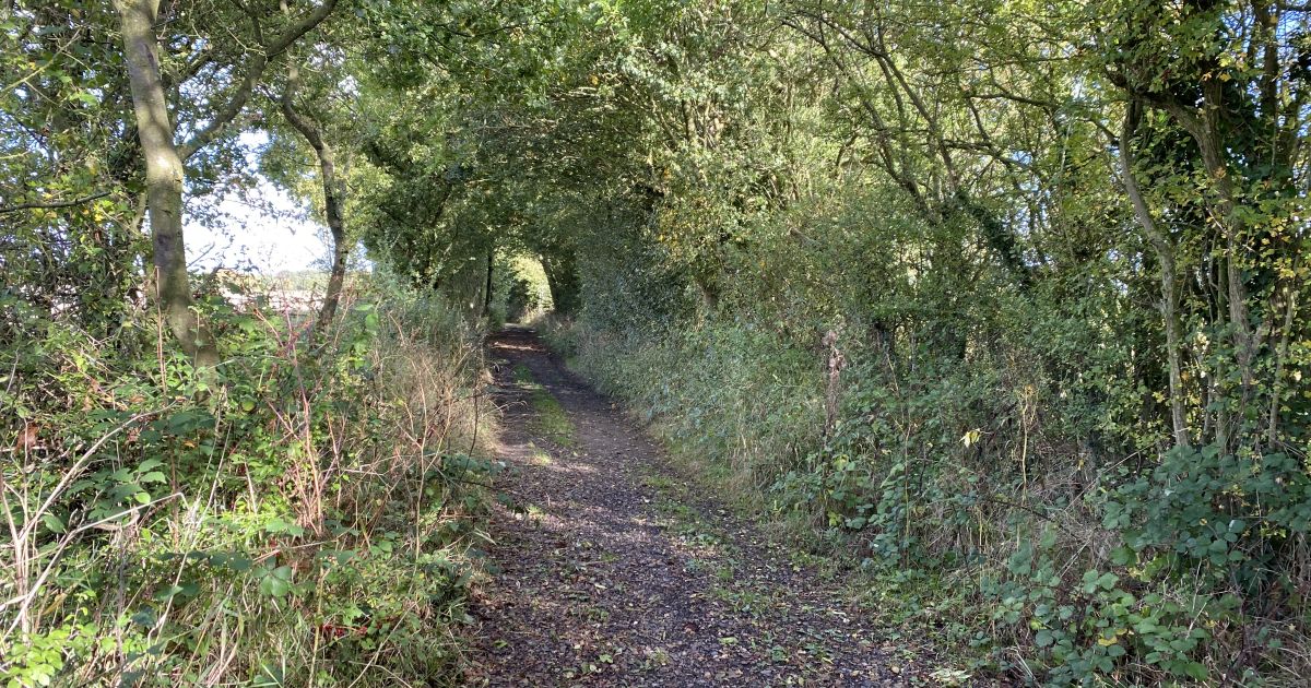 The Dragon Trail - Ramblers